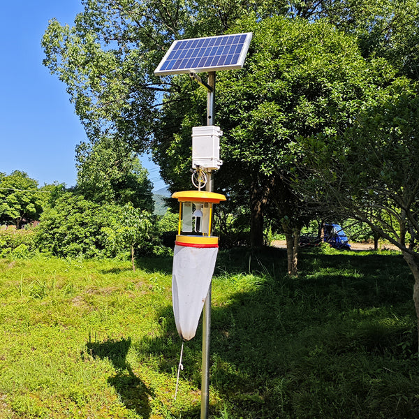 Insecticidal Light – lisunner.com